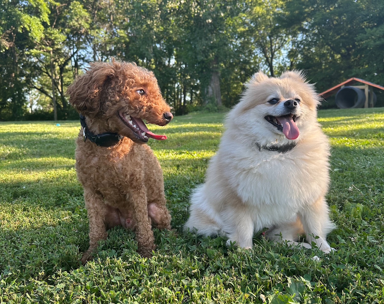 About – The Infinity Project